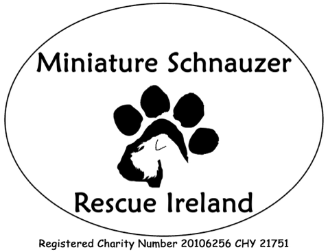 Miniature Schnauzer Rescue Ireland